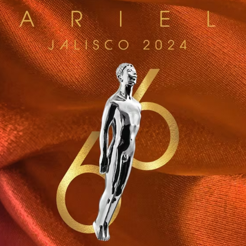 La AMACC anunció a los nominados a la edición número 66 del Ariel ...