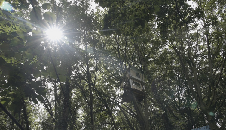 Impulso Morelia 9 da a conocer su selección y su panel de expertos ...
