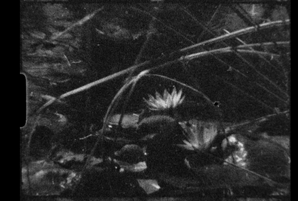 Neón Cortex | Morelia Film Festival