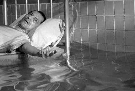 The Cu bird´s Last Song | Morelia Film Fest